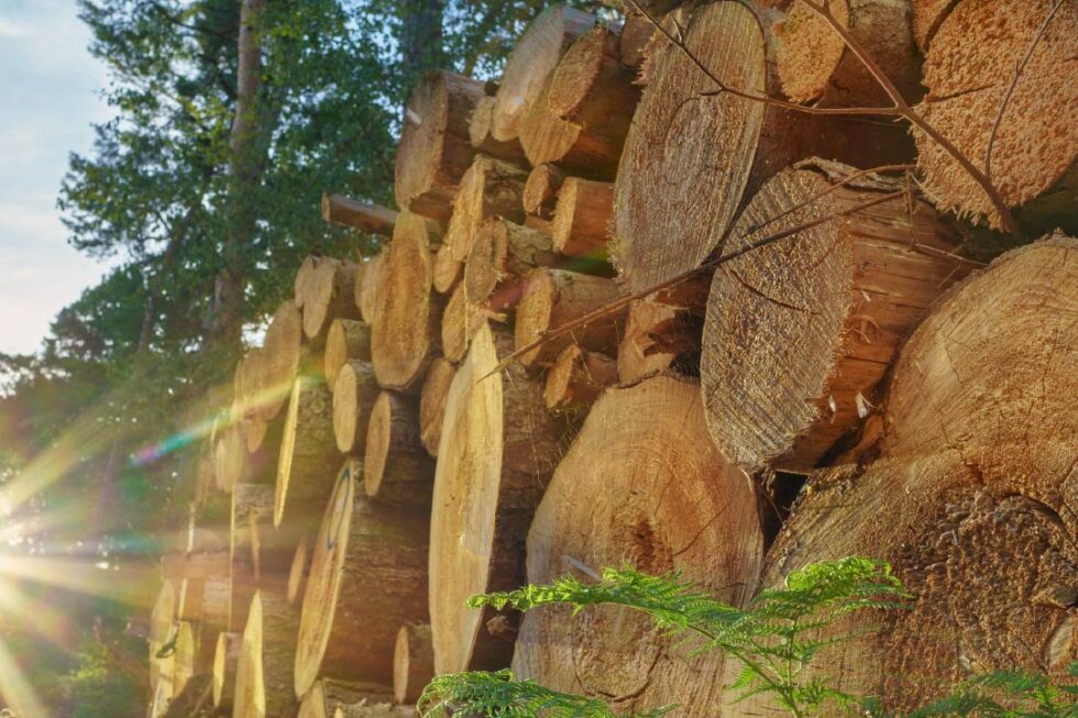 WCLA Credit Union - Your Forest Products Credit Union | The Washington ...